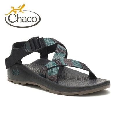 7942캠프-자연과 함께하는 즐거움